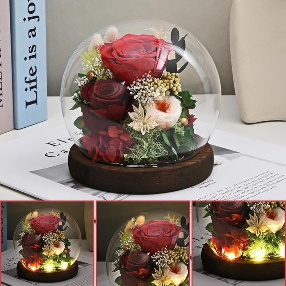 Other | Preserved Rose Dome With Light | Poshmark